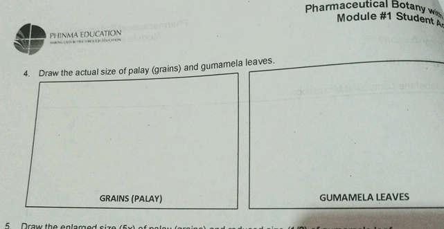 Pharmaceutical Botany w Module 1 Student A | StudyX