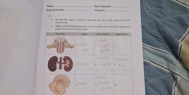 Name Year and Section Date Submitted | StudyX