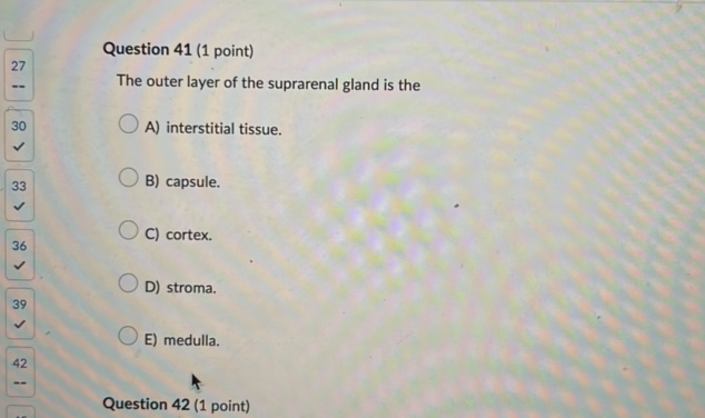 Question 41 (1 point) The outer layer of | StudyX