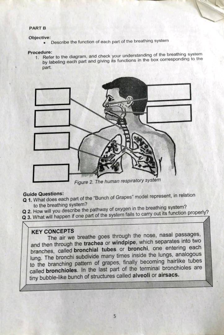 PART B Objective - Describe the function of | StudyX