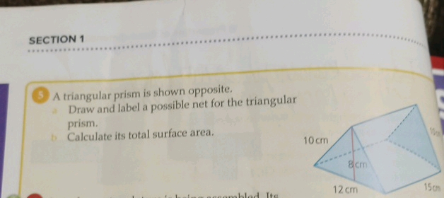 SECTION 1 (5) A triangular prism is shown | StudyX
