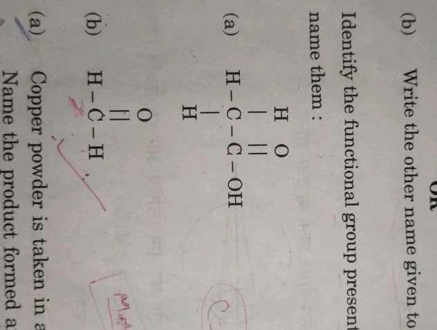 (b) Write the other name given to Identify | StudyX