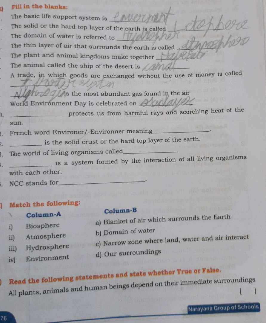 Fill in the blanks The basic life support | StudyX