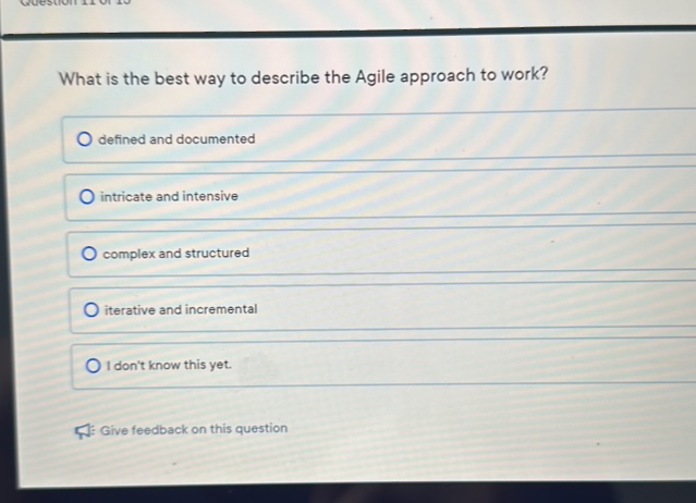 What is the best way to describe the Agile | StudyX