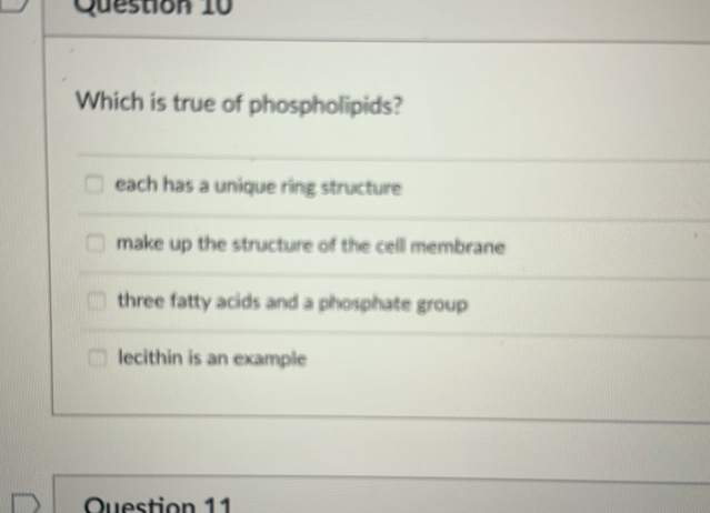 Which is true of phospholipids each has a | StudyX