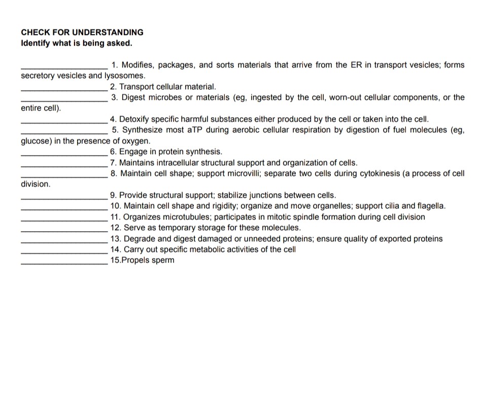 CHECK FOR UNDERSTANDING Identify what is | StudyX