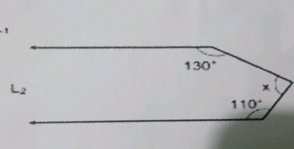 Find the value of *x*. Two parallel lines | StudyX