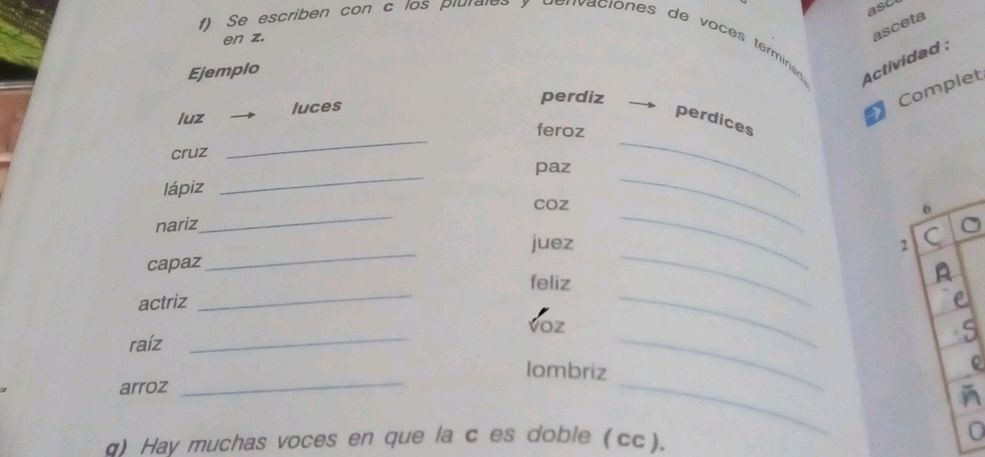 f) Se escriben con c los plurales y | StudyX
