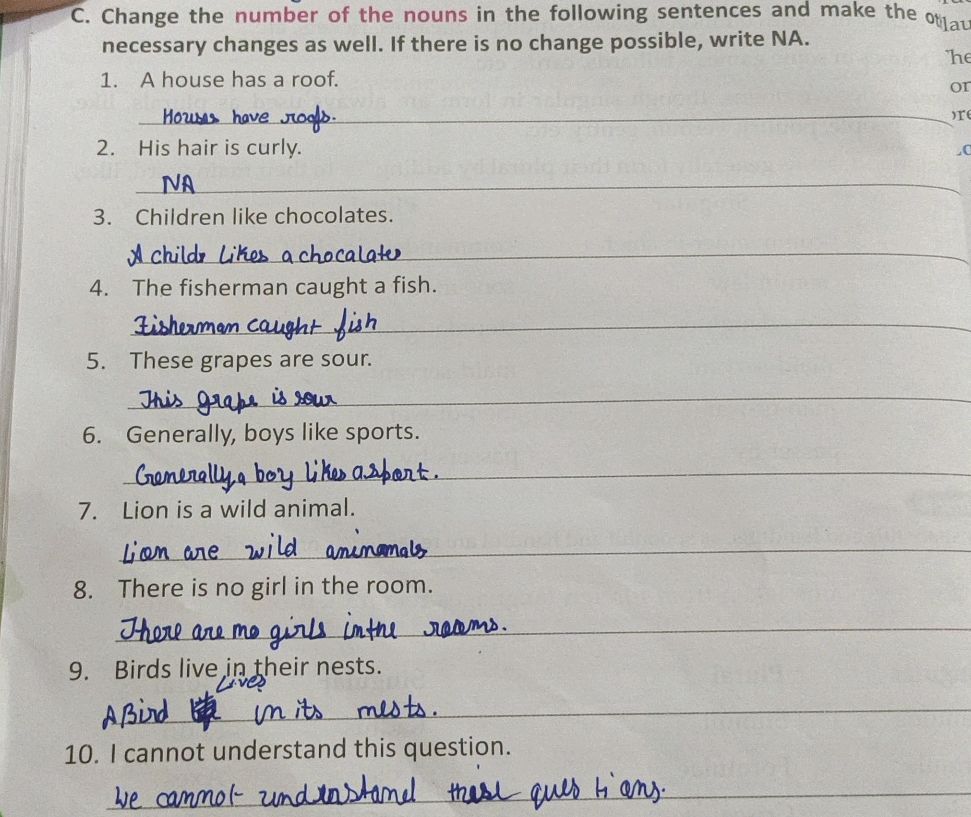 C. Change the number of the nouns in the | StudyX