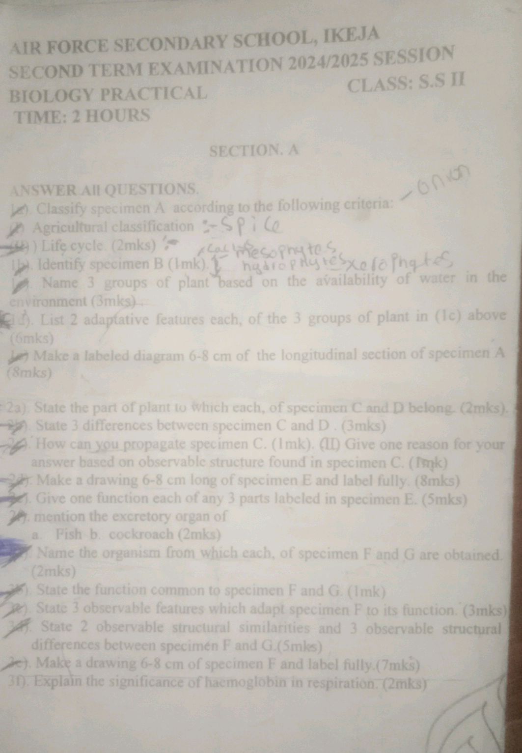 1). Classify specimen A according to the | StudyX