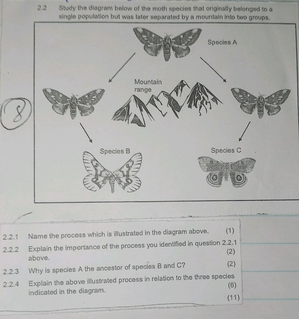 2.2 Study the diagram below of the moth | StudyX