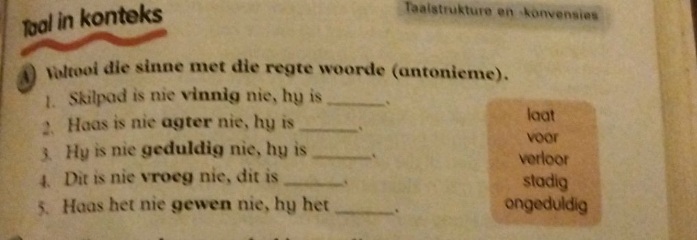 Voltooi die sinne met die regte woorde