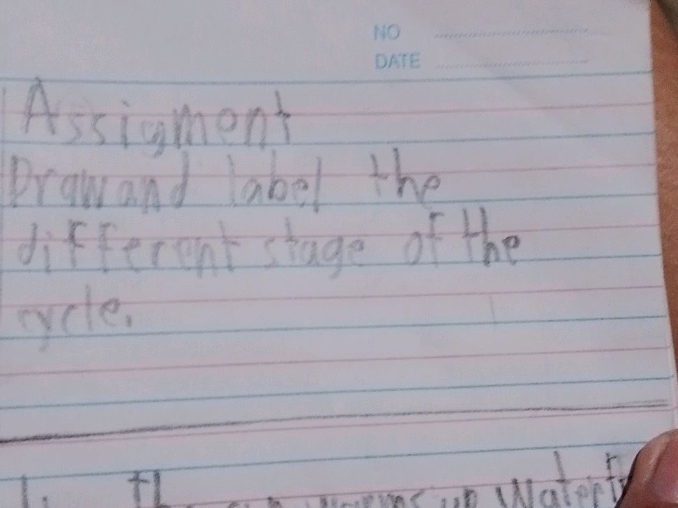 Assignment Draw and label the different | StudyX