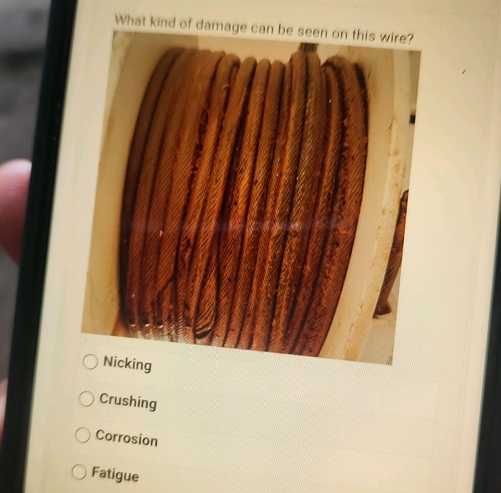 What kind of damage can be seen on this | StudyX