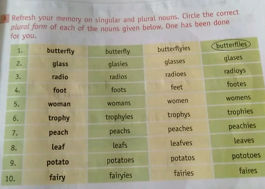 Refresh your memory on singular and plural | StudyX