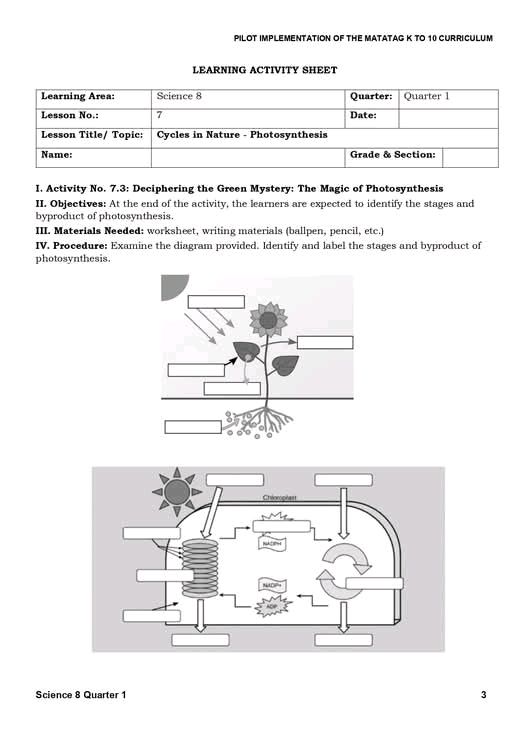 IV. Procedure: Examine the diagram provided. | StudyX