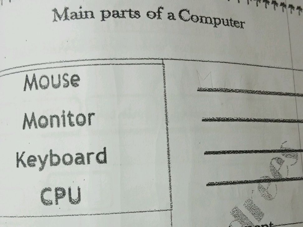 Main parts of a Computer MOUSE Monitor | StudyX
