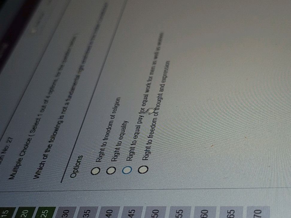 Multiple Choice (Select 1 out of 4 options). | StudyX