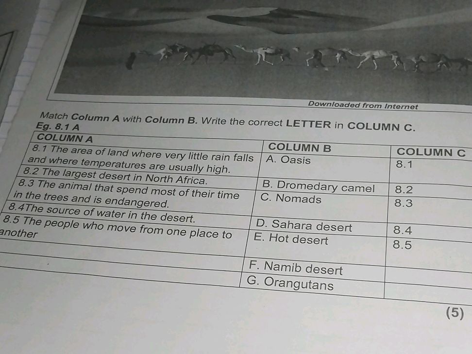 Match Column A with Column B. Write the