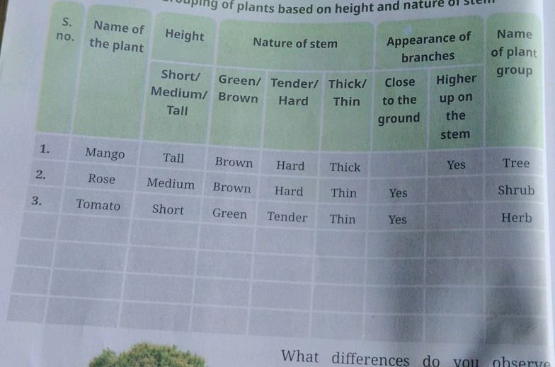 | S. no. | Name of the plant | Height | | StudyX
