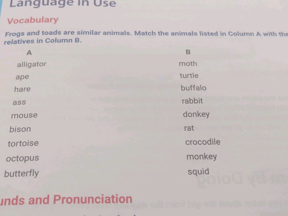 Frogs and toads are similar animals. Match | StudyX