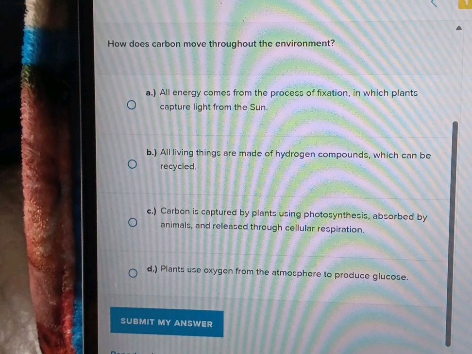 How does carbon move throughout the | StudyX