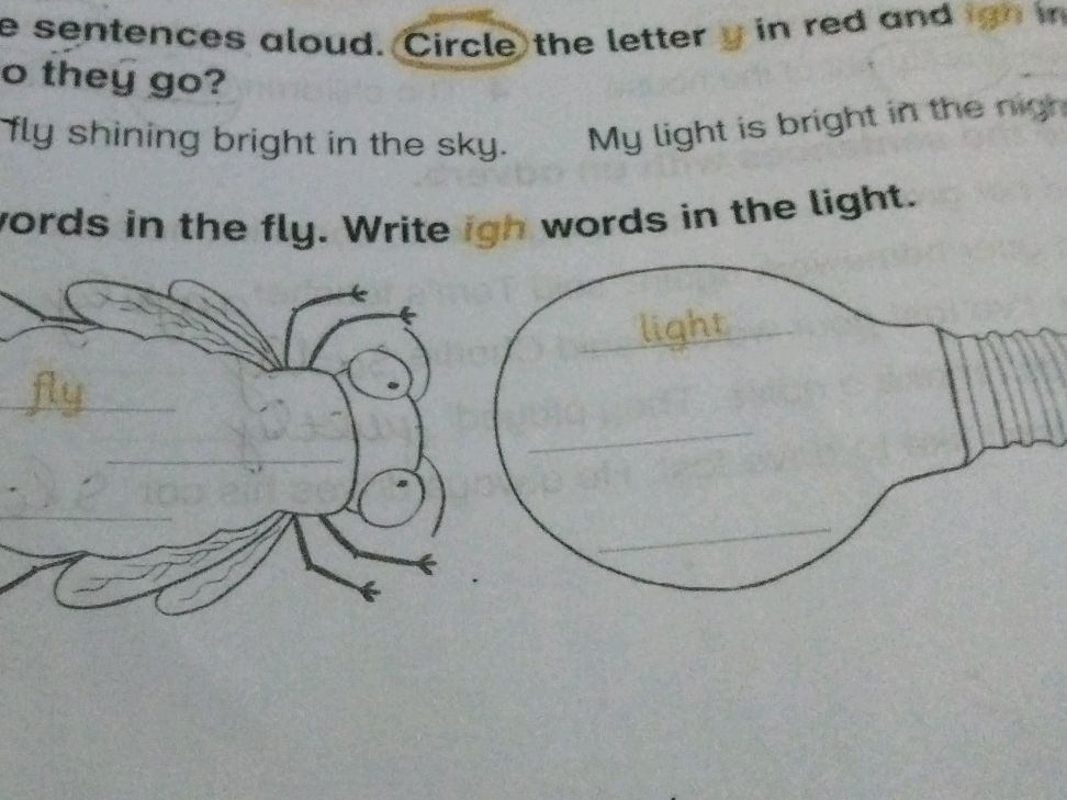Write words in the fly. Write igh words in | StudyX