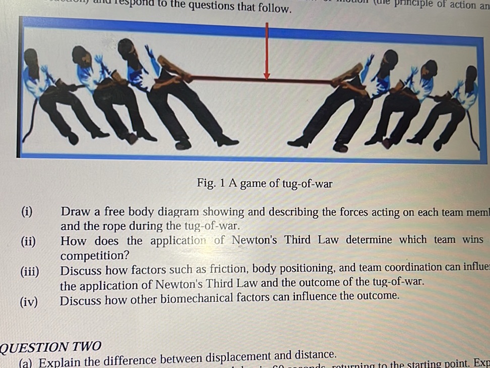 Fig. 1 A game of tug-of-war (i) Draw a free | StudyX