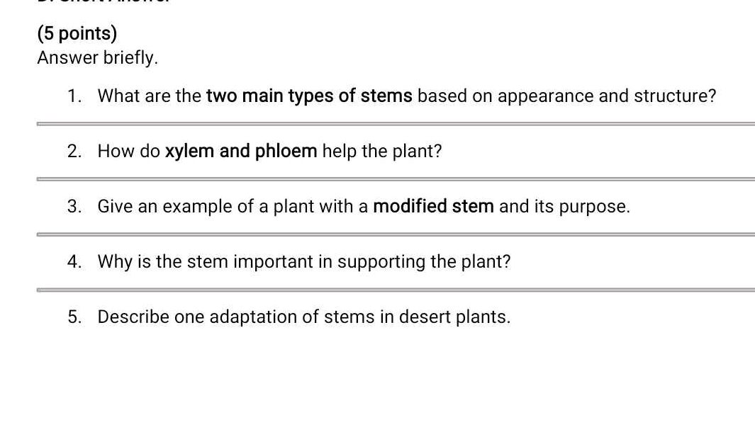1. What are the two main types of stems | StudyX