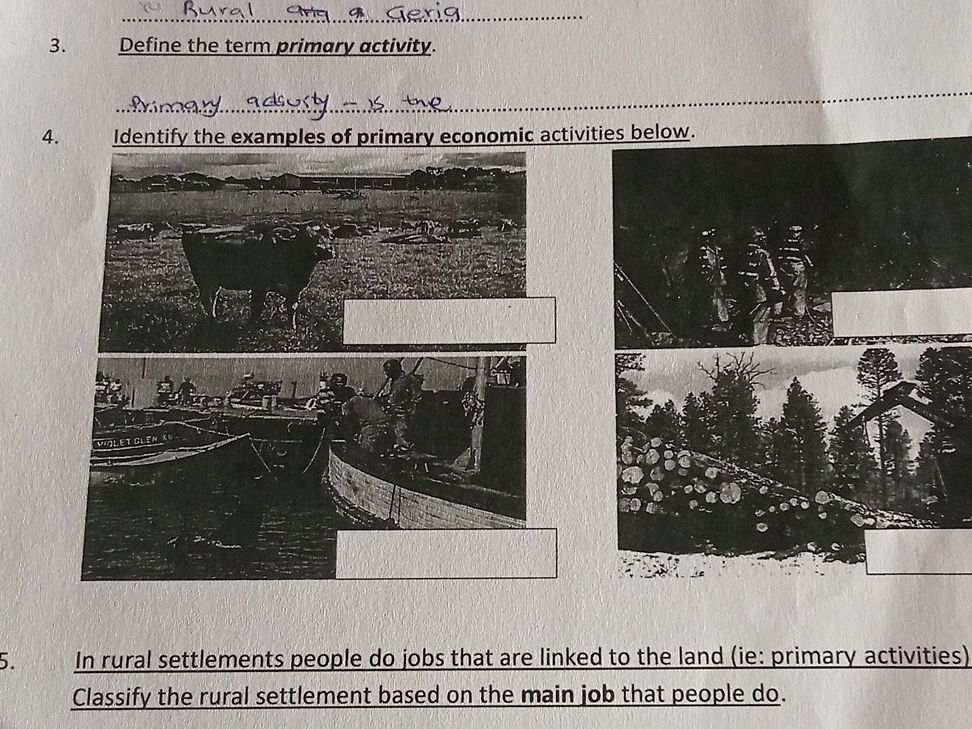3. Define the term primary activity. | StudyX