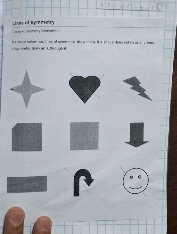 Lines of symmetry Grade 4 Geometry Worksheet | StudyX