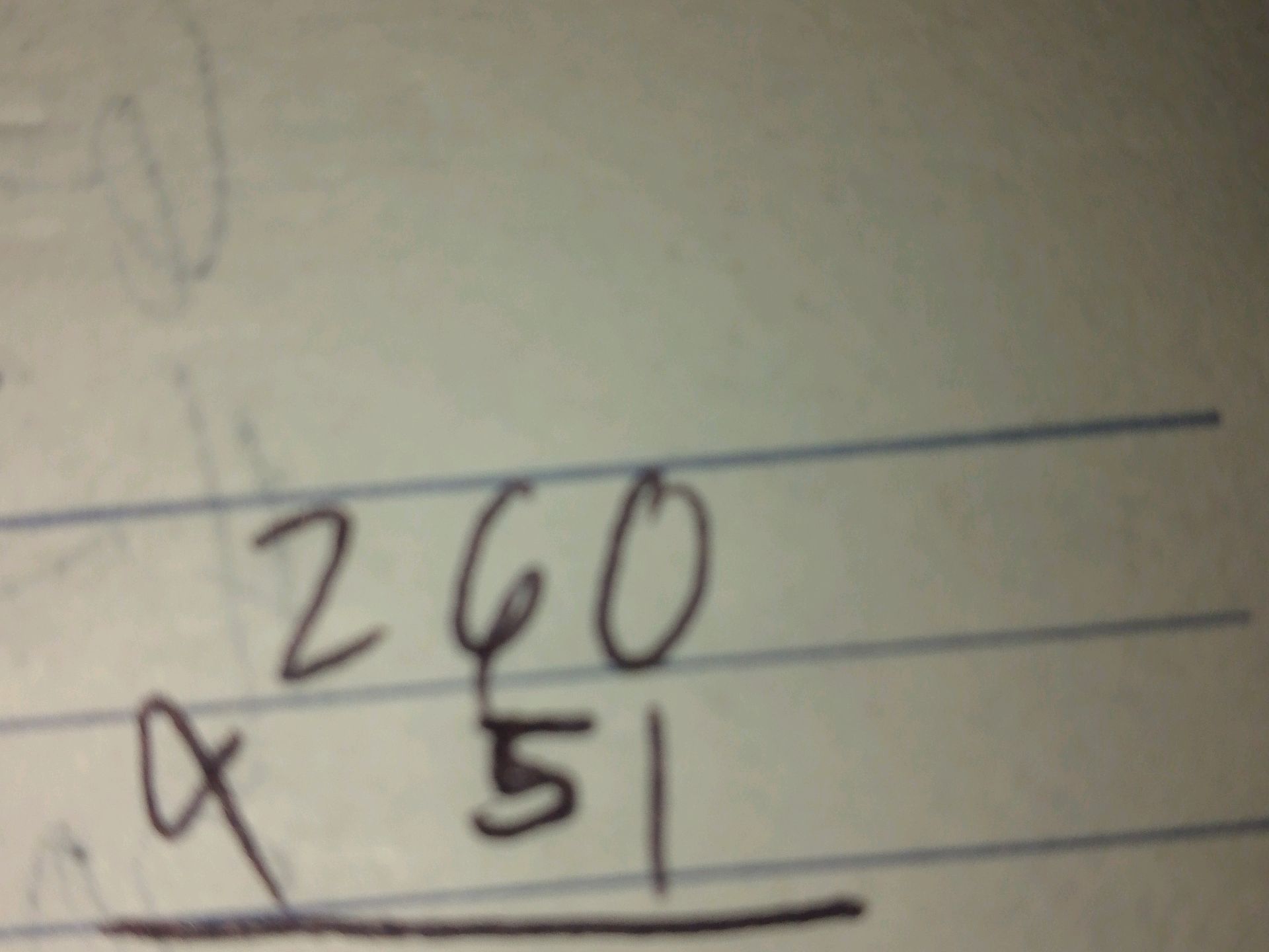 Multiplication: 260 x 51