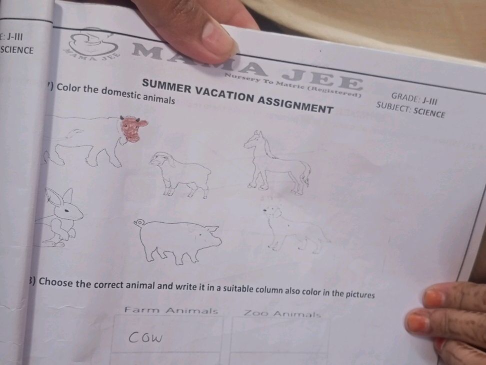 1) Color the domestic animals 3) Choose the | StudyX