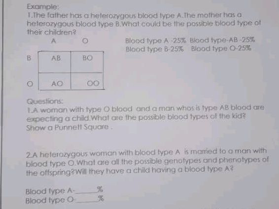 1. The father has a heterozygous blood type | StudyX
