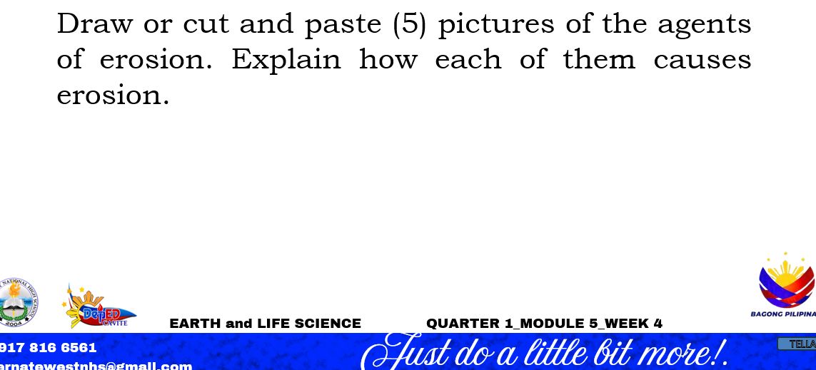 Draw or cut and paste (5) pictures of the | StudyX