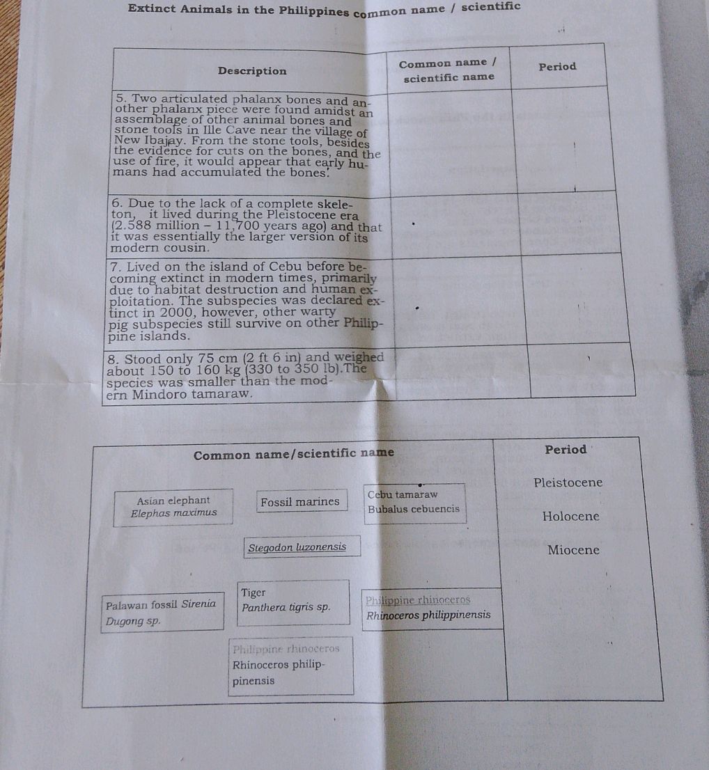 Extinct Animals in the Philippines common | StudyX