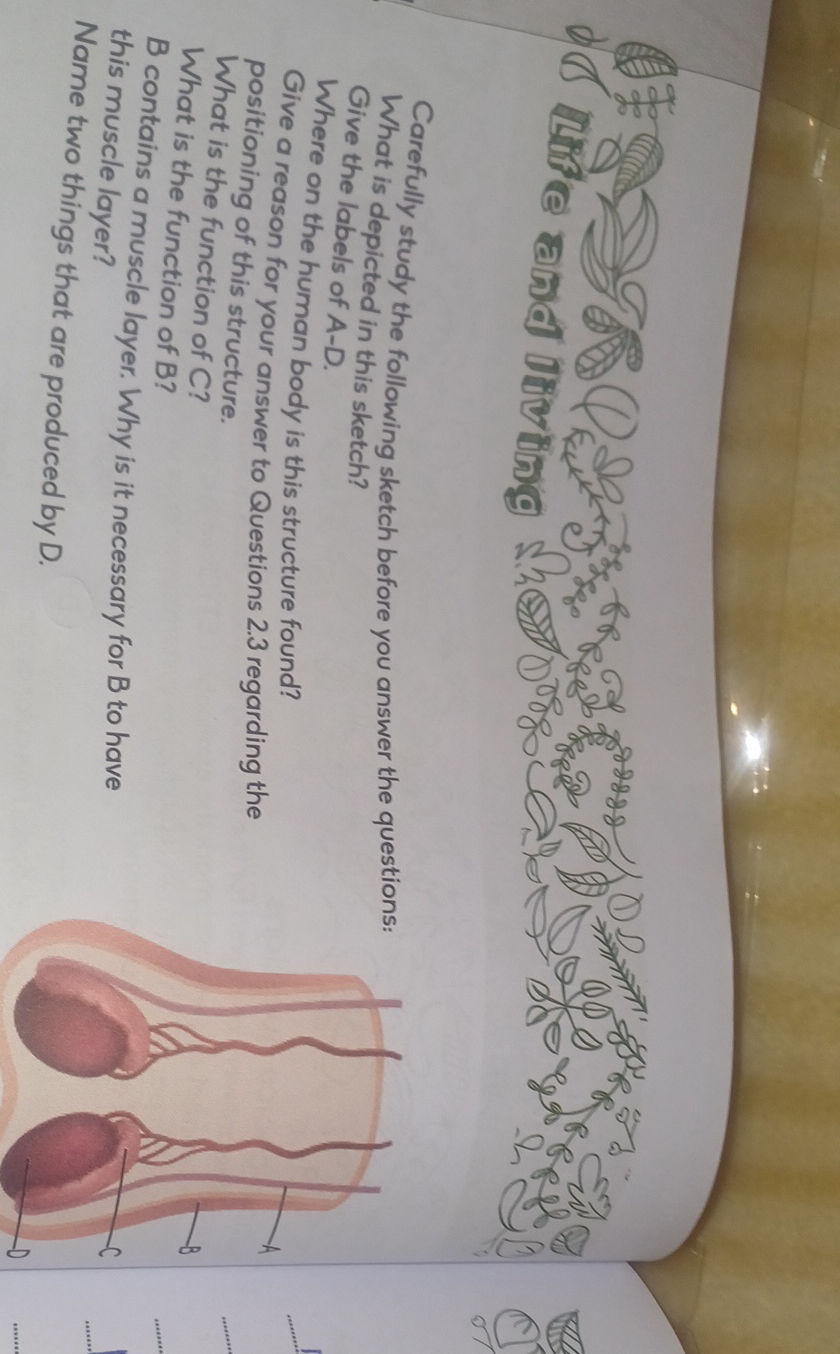 Carefully study the following sketch before | StudyX