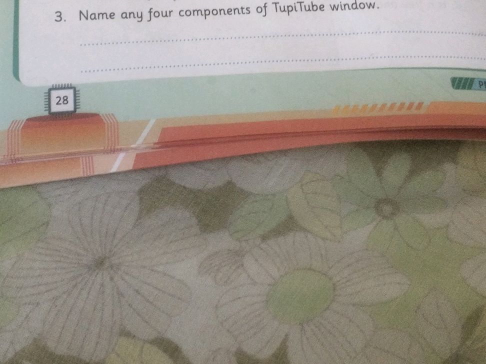 Name any four components of TupiTube window.