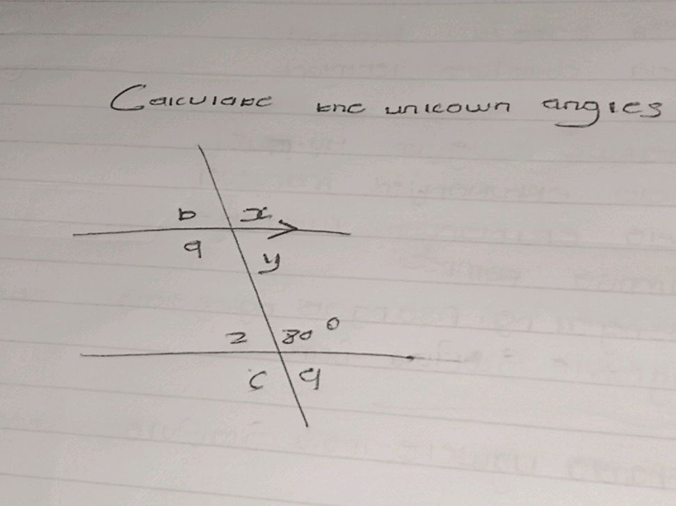 Calculate the unknown angles. Diagram with | StudyX