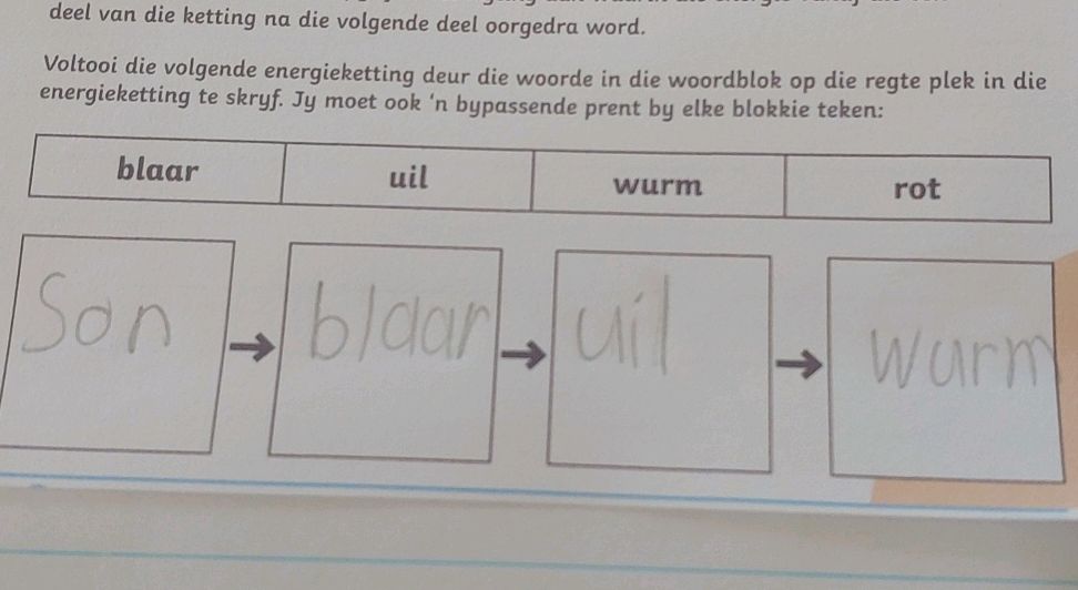 Voltooi die volgende energieketting deur die | StudyX