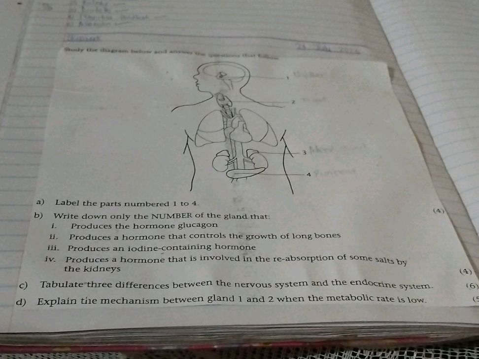 a) Label the parts numbered 1 to 4. b) | StudyX