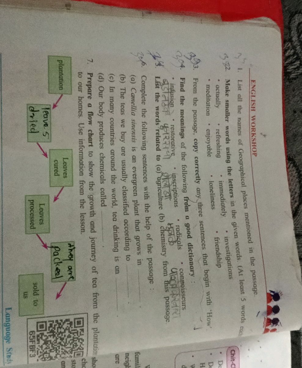 7. Prepare a flow chart to show the growth | StudyX