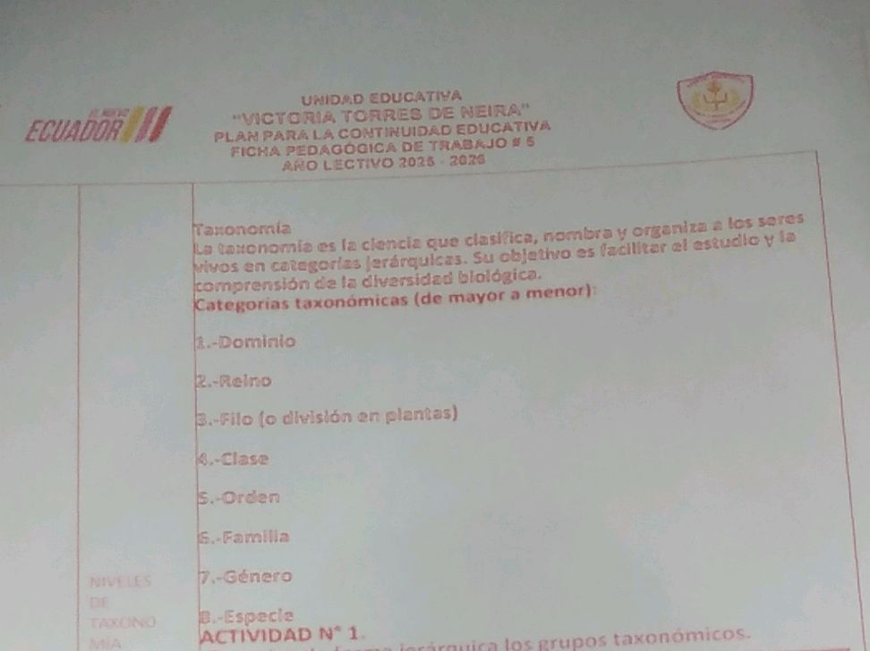 Taxonomia La taxonomia es la ciencia que | StudyX