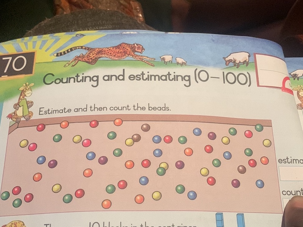 Counting and Estimating Beads (0-100) | StudyX