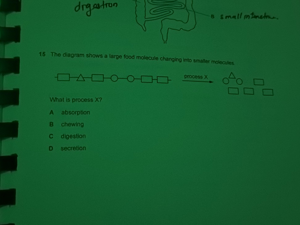 15 The diagram shows a large food molecule | StudyX