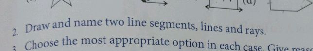 2. Draw and name two line segments, lines | StudyX