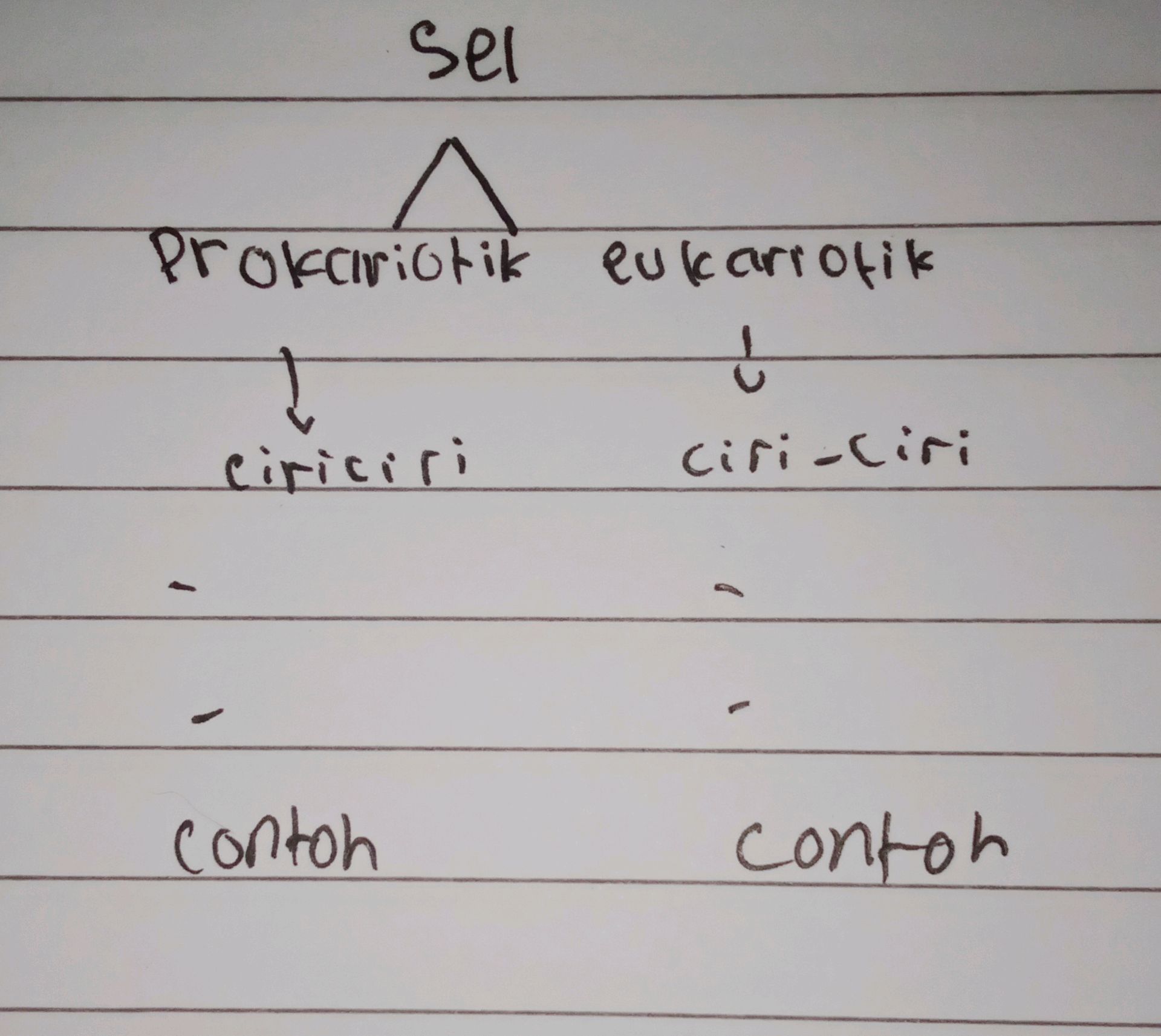 Sel Prokariotik eukarrofik ↓ ciri-ciri | StudyX