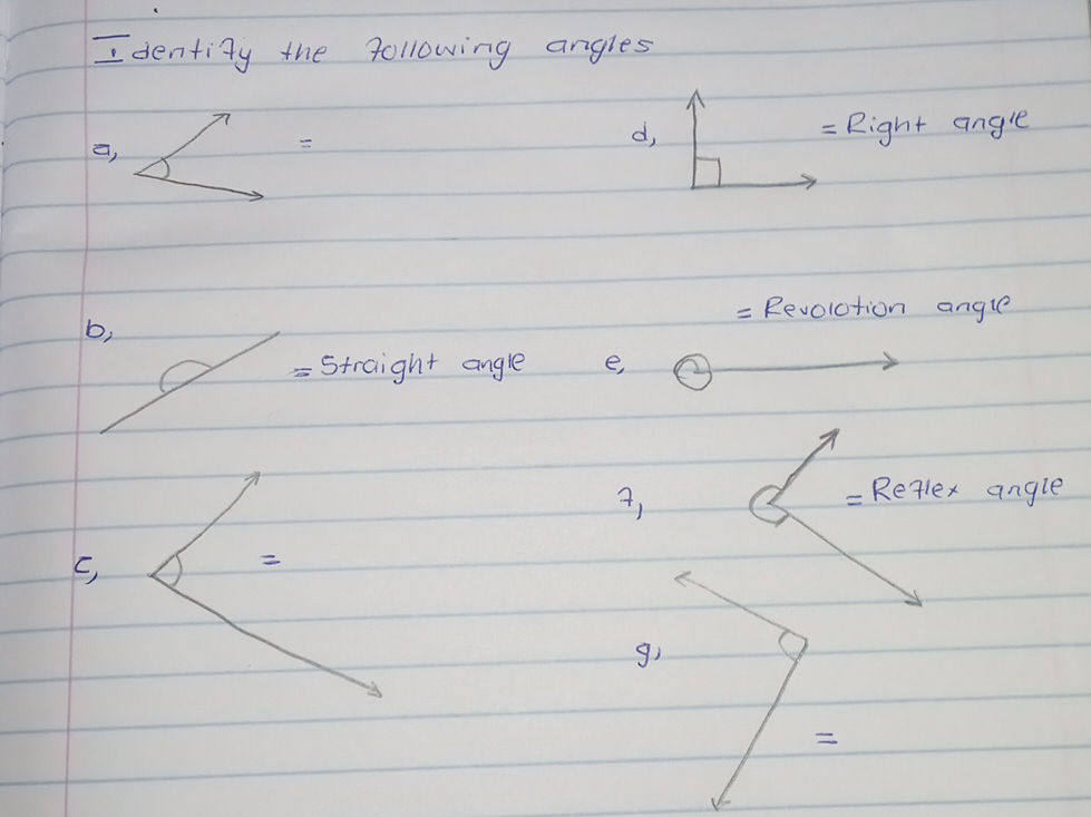 Identify the following angles a, (angle | StudyX