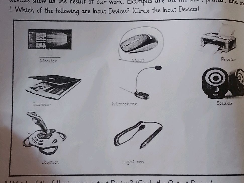 Which of the following are Input Devices? | StudyX