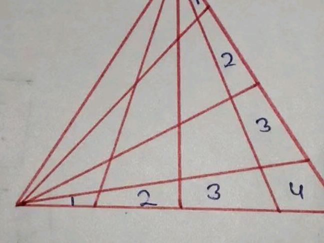 The image shows a triangle divided into | StudyX
